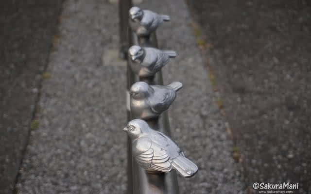 5 Useful Japanese Aizuchi - SakuraMani