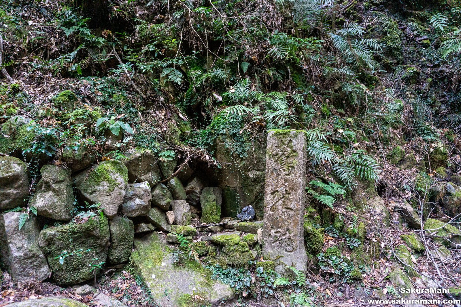 Uguiso No Taki 鶯の滝 - Nara's hidden gem - SakuraMani