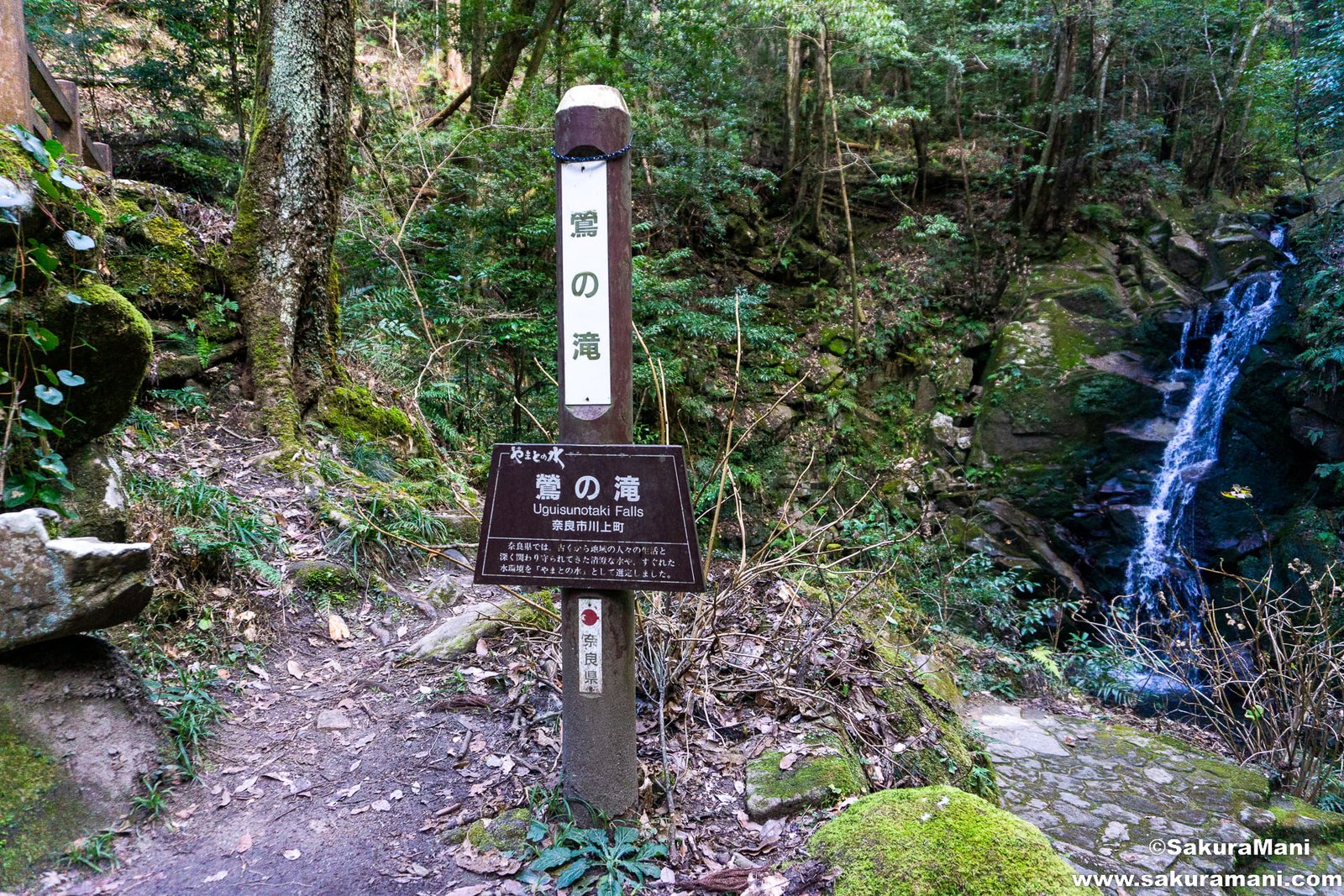 Uguiso No Taki 鶯の滝 - Nara's hidden gem - SakuraMani