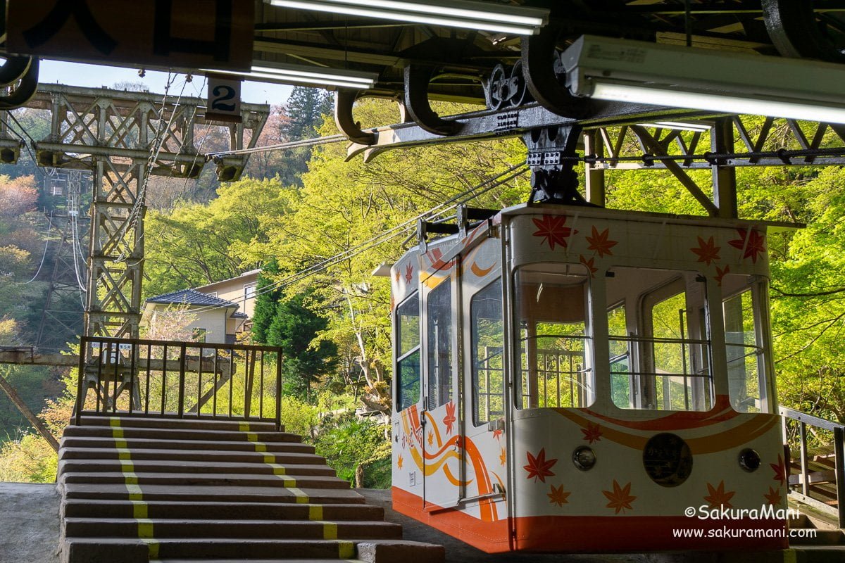 A solo hike to Mount Yoshino - SakuraMani