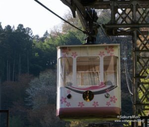 A solo hike to Mount Yoshino – SakuraMani